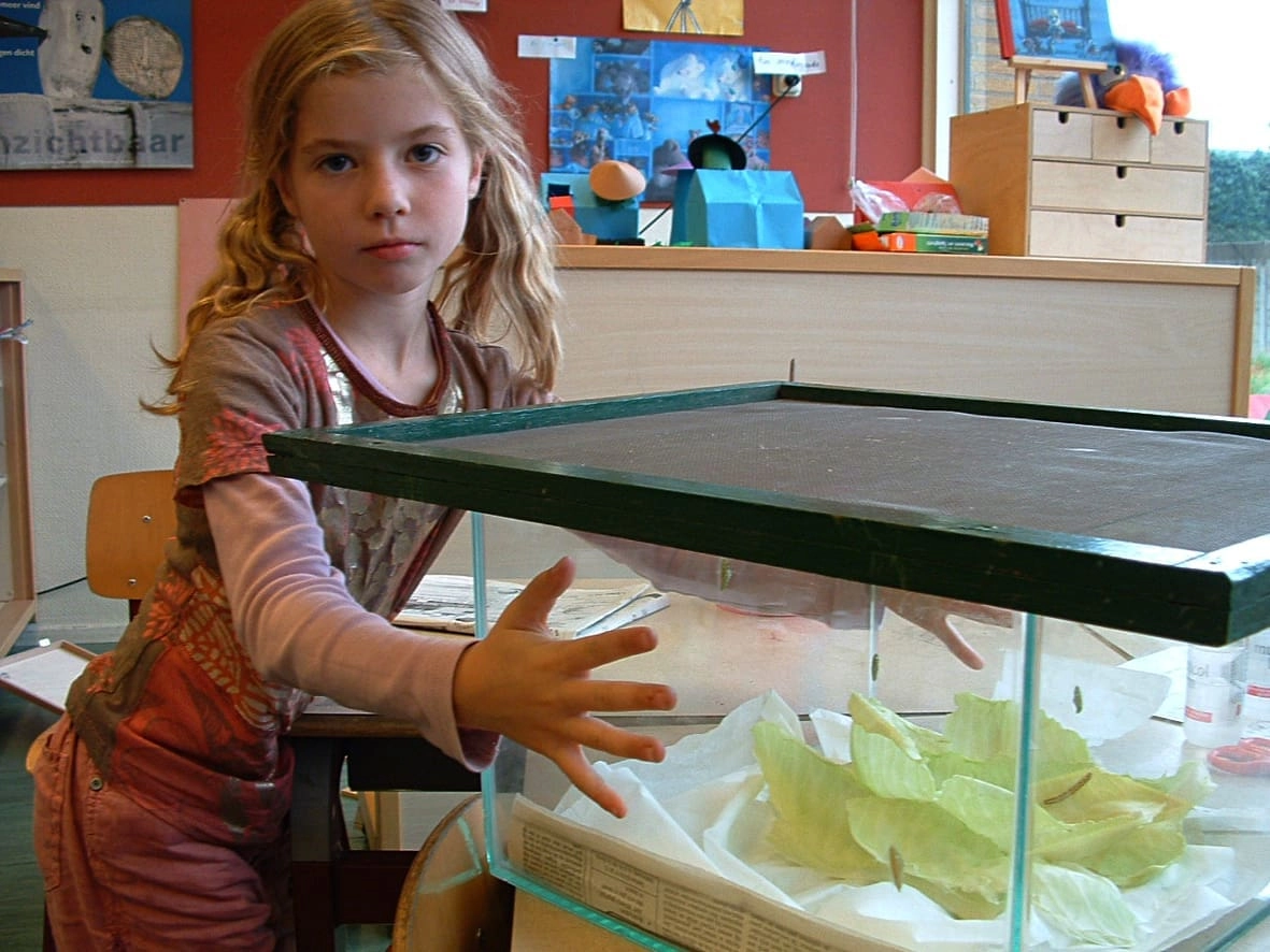 Van eitje tot vlinder - Vlinderstichting