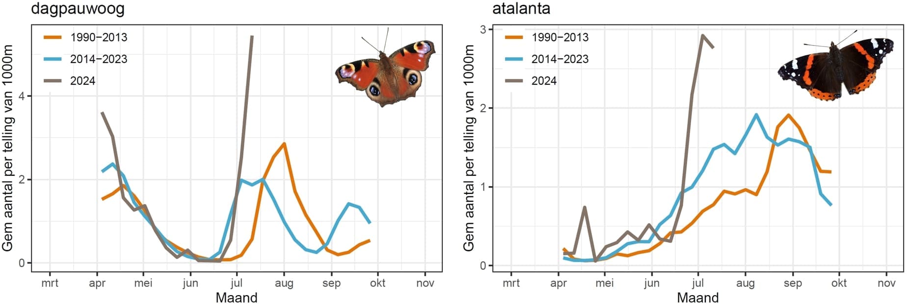 Erg veel dagpauwogen, weinig graslandvlinders - Vlinderstichting