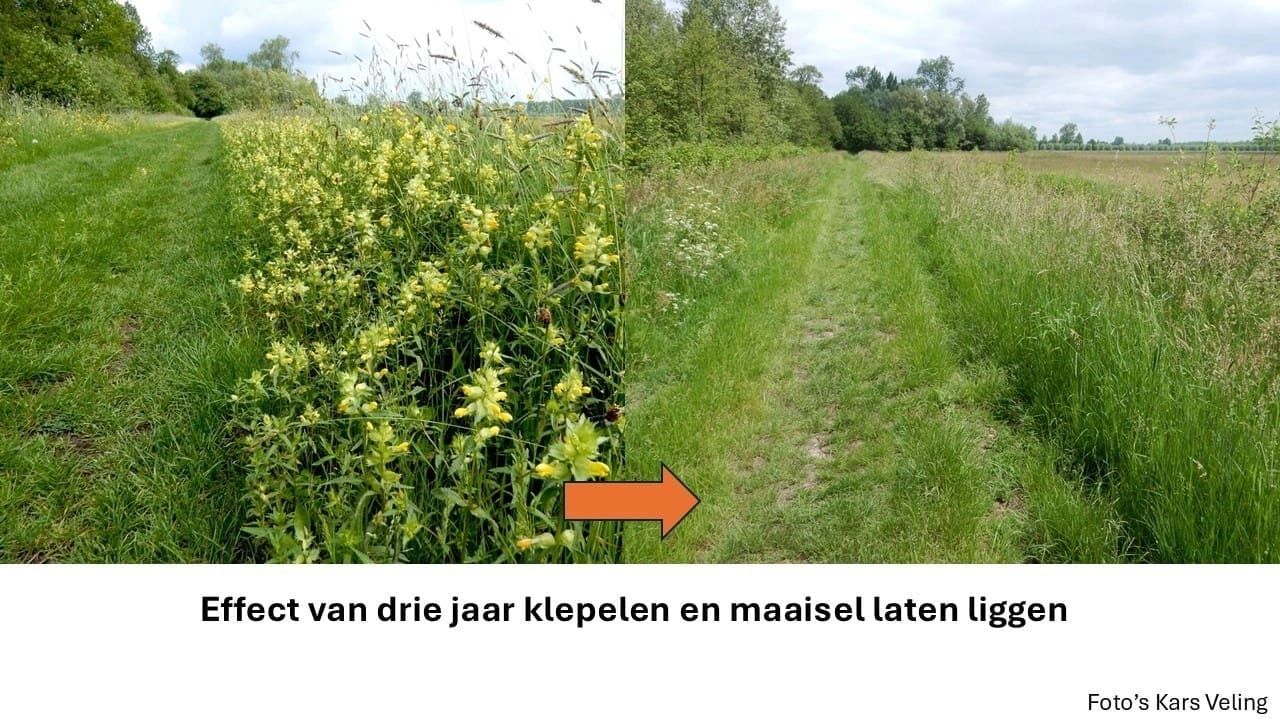 Klepelen, kan dat ecologisch? - Vlinderstichting